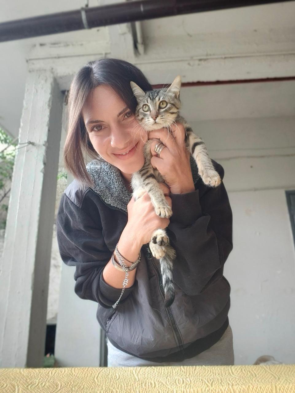 Meme | Petfinder Tiervermittlung