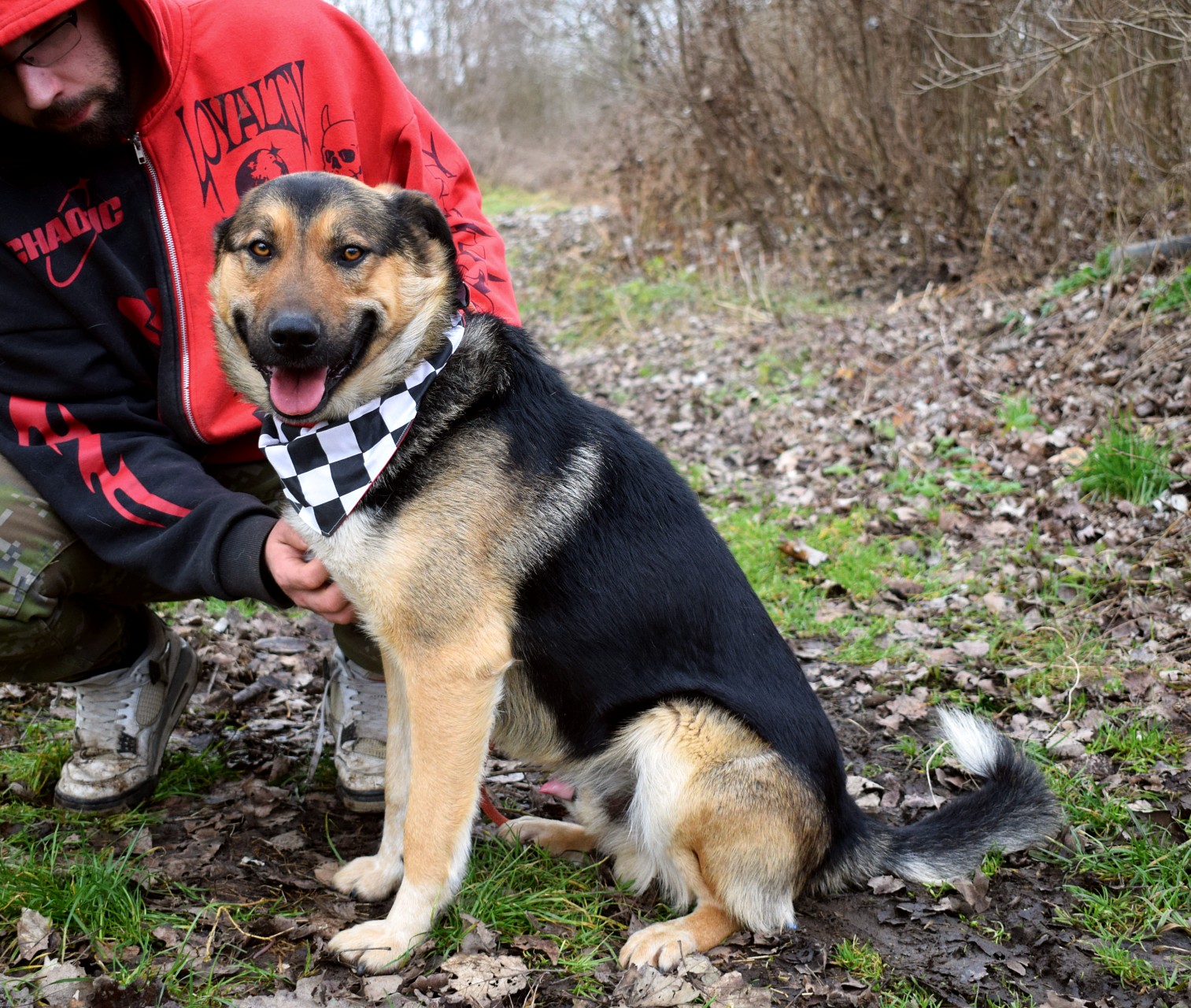 Champus | Petfinder Tiervermittlung