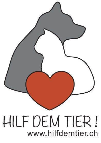 Champus | Petfinder Tiervermittlung