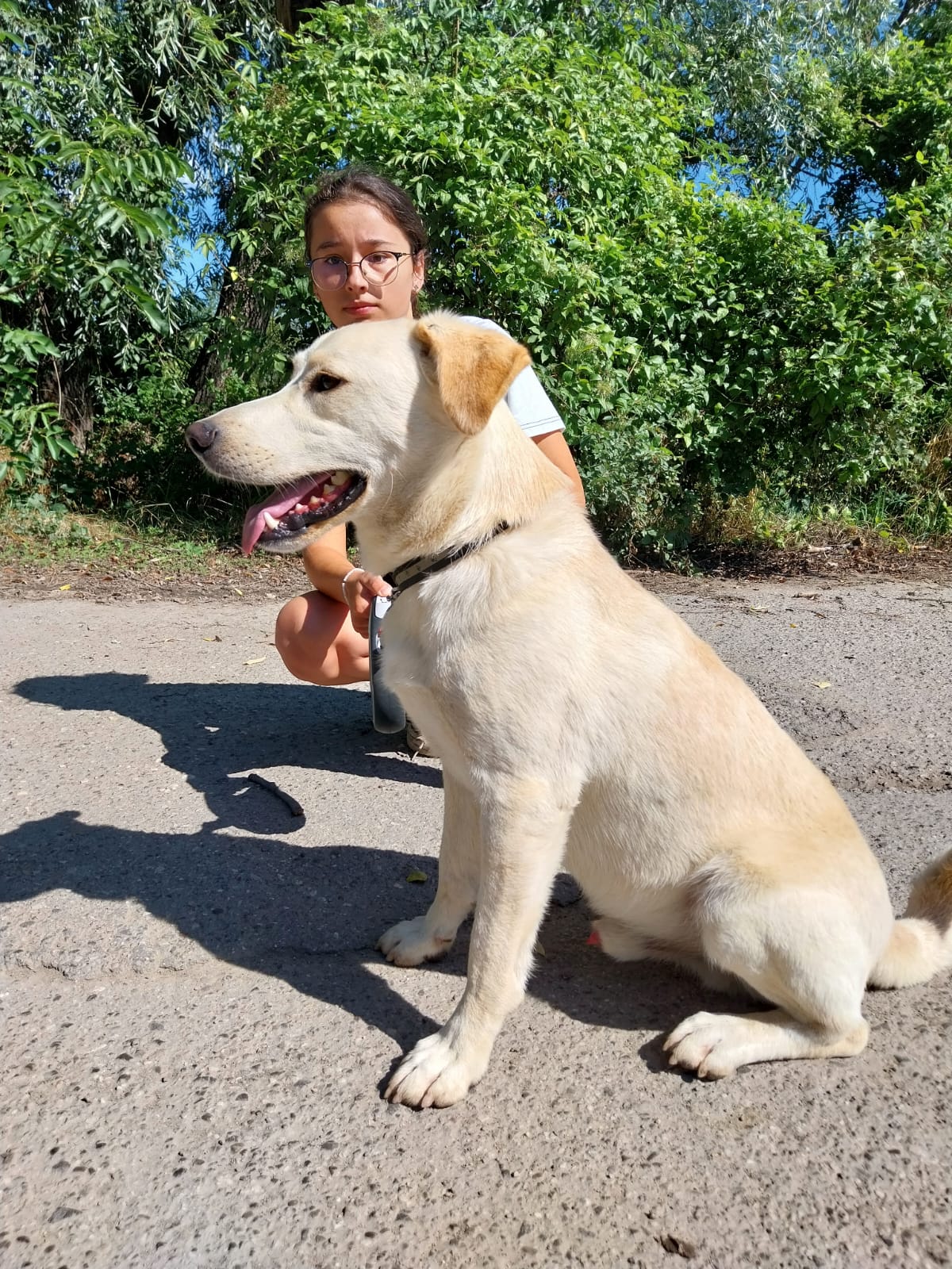 Max | Petfinder Tiervermittlung