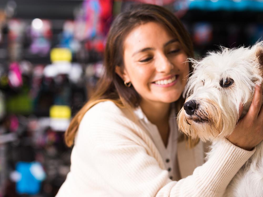 Ratgeber Alles über Hunde | Petfinder Tiervermittlung